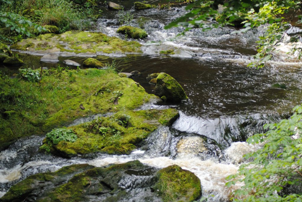 Walks – Explore Edinburgh